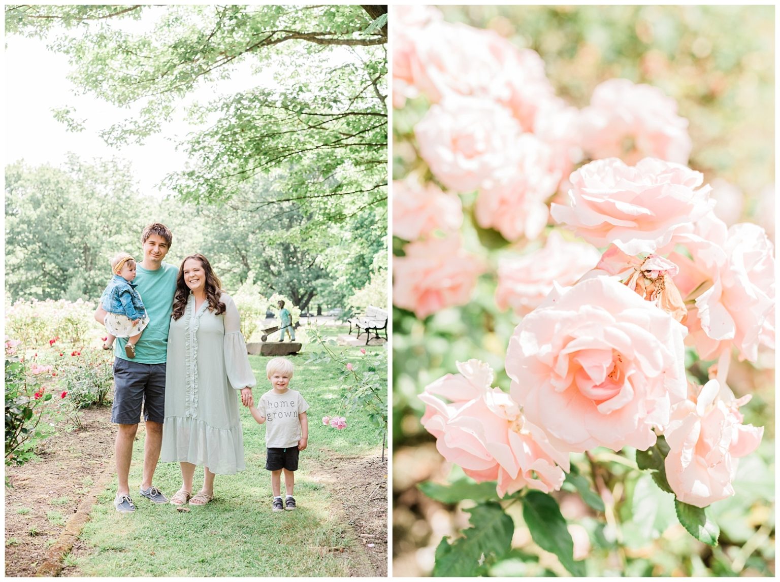 Rose Garden Mini Sessions Recap! - jenniferlarsenphoto.com
