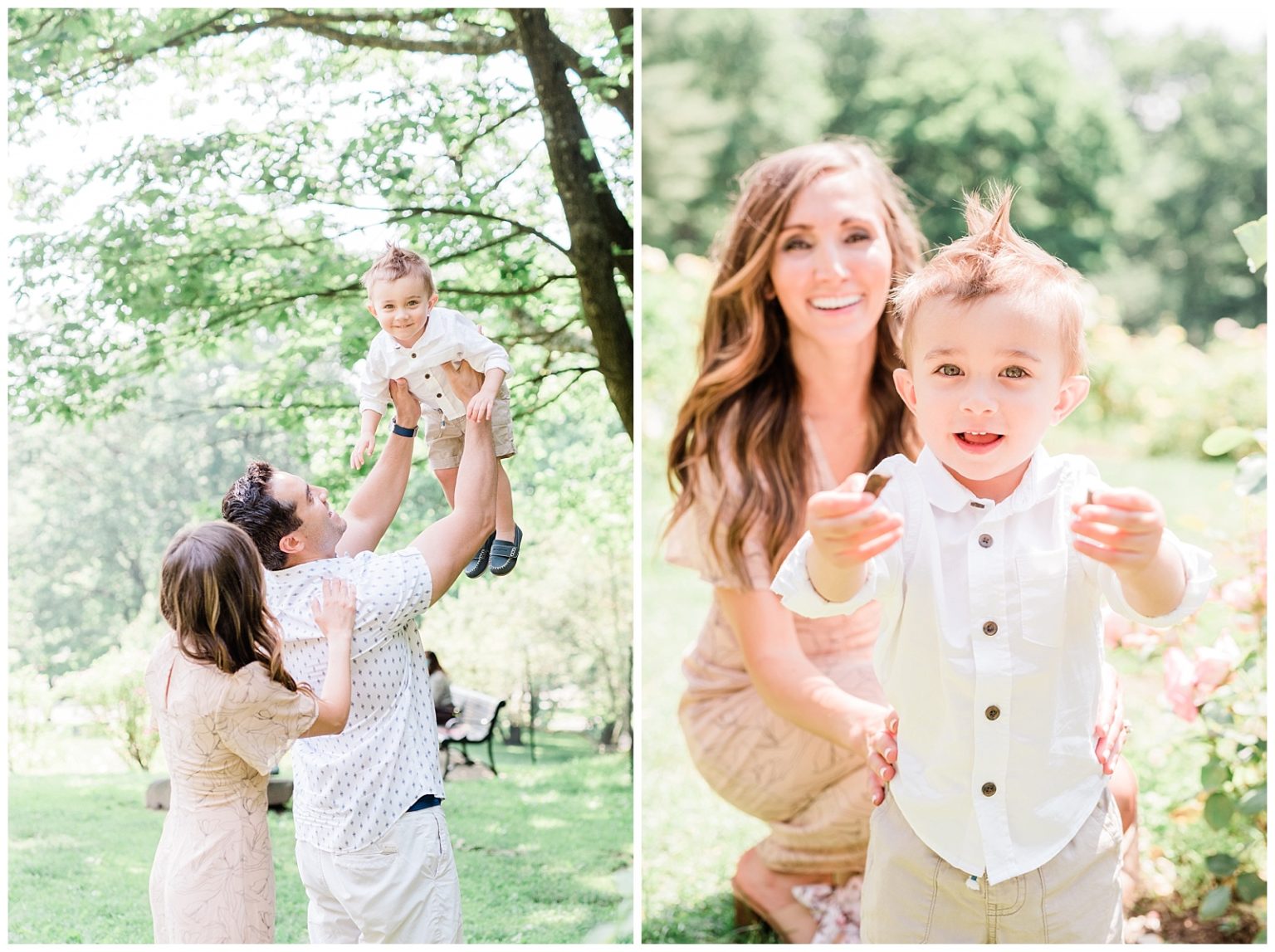 Rose Garden Mini Sessions Recap! - jenniferlarsenphoto.com