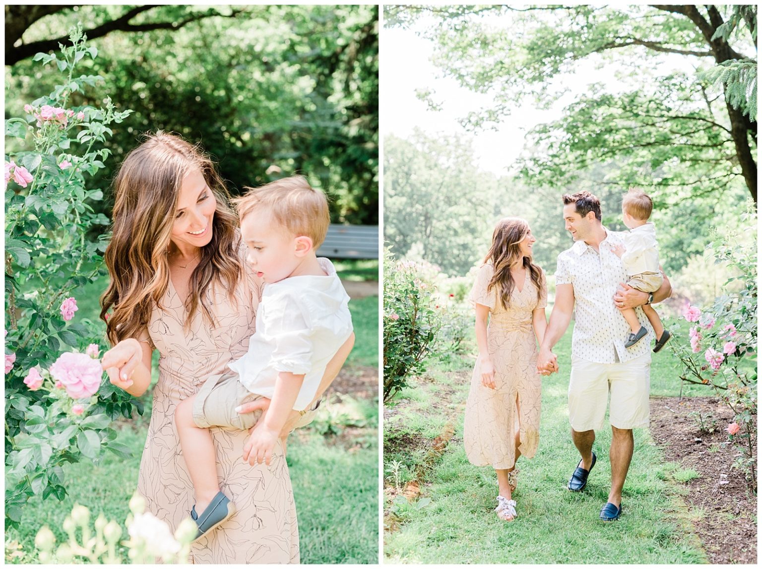 Rose Garden Mini Sessions Recap! - jenniferlarsenphoto.com