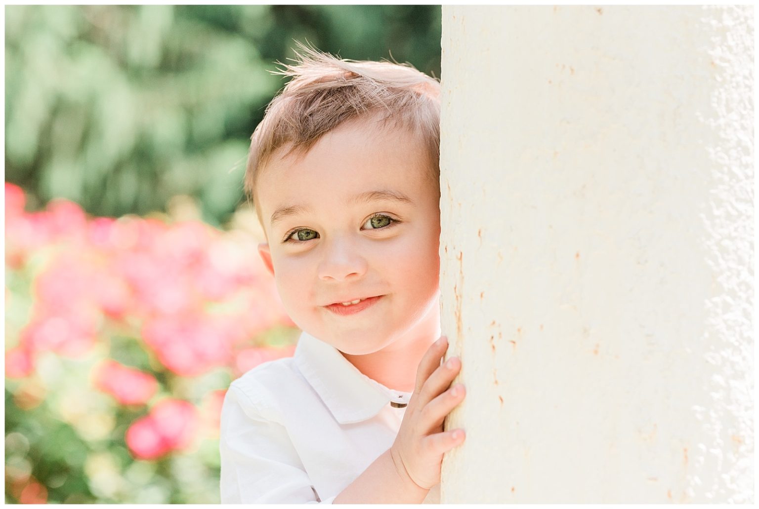 Rose Garden Mini Sessions Recap! - jenniferlarsenphoto.com