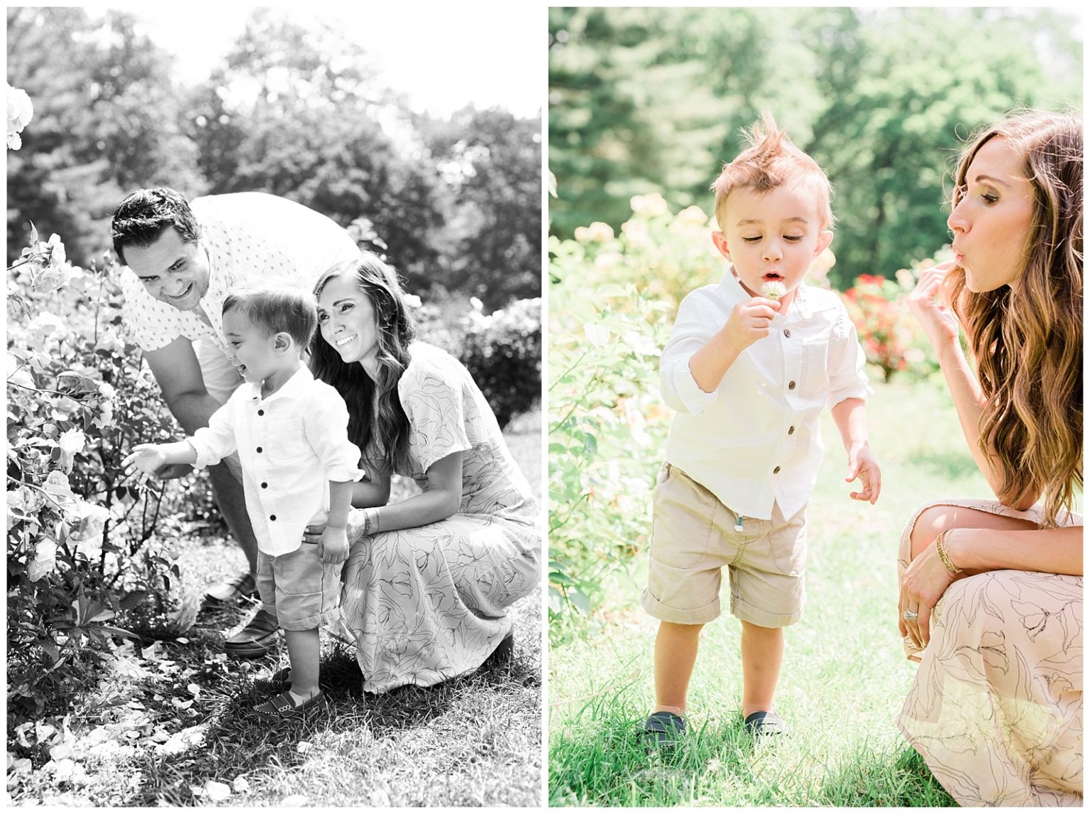 Rose Garden Mini Sessions Recap! - jenniferlarsenphoto.com