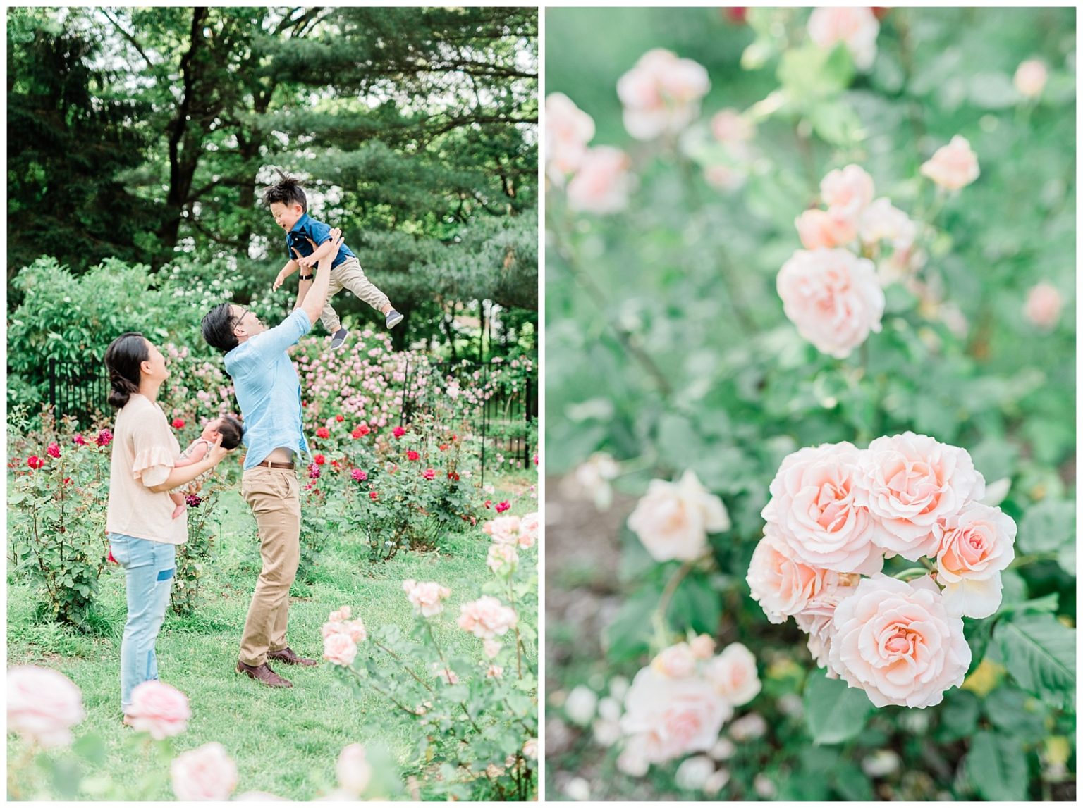 Rose Garden Mini Sessions Recap! - jenniferlarsenphoto.com