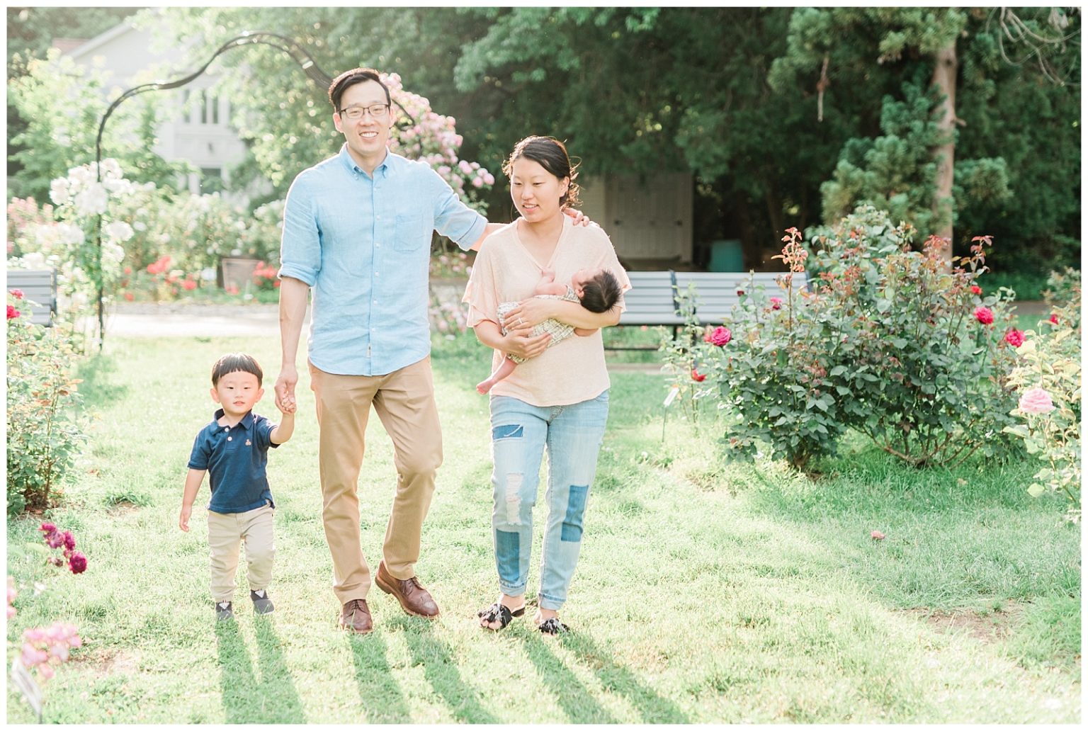 Rose Garden Mini Sessions Recap! - jenniferlarsenphoto.com