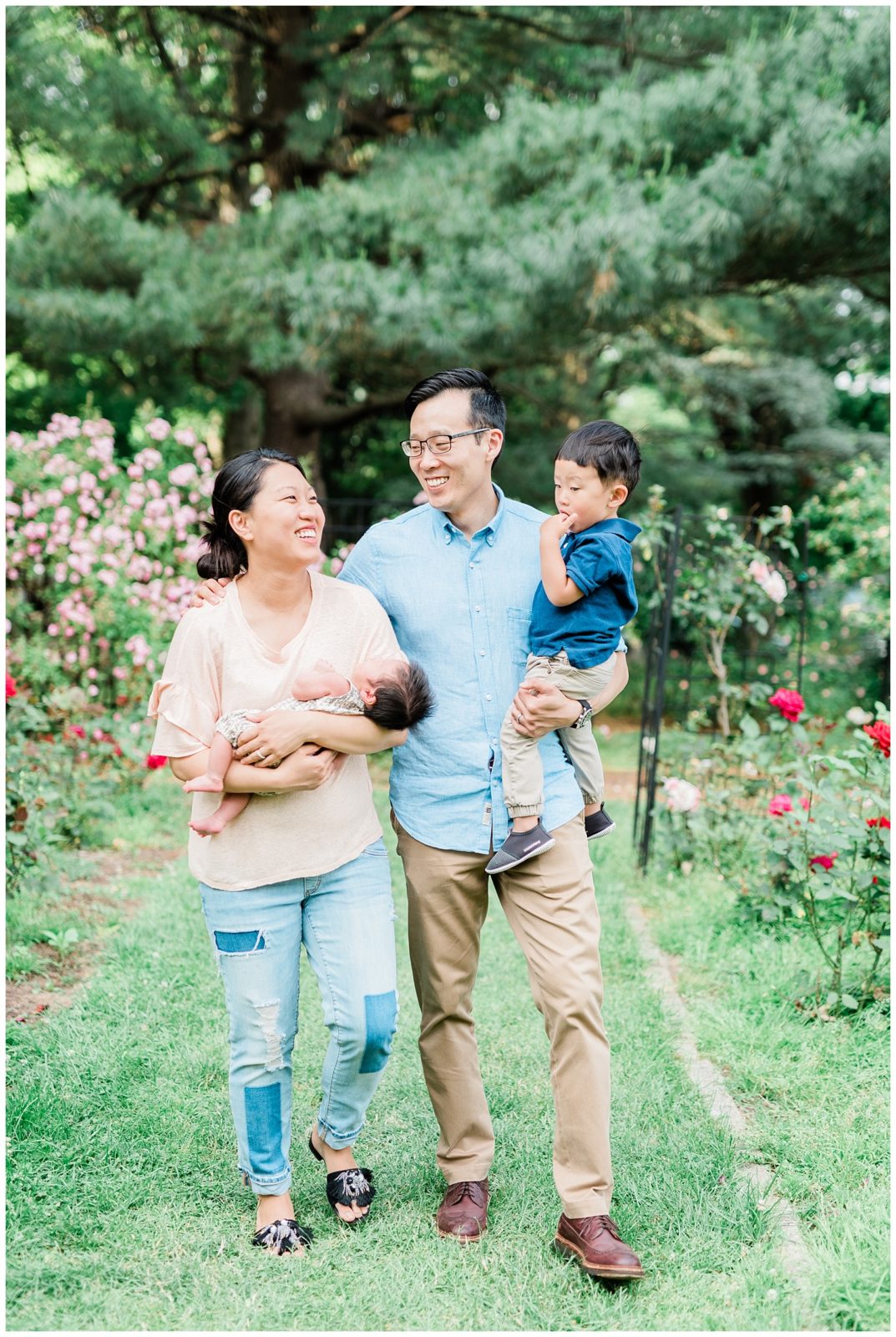 Rose Garden Mini Sessions Recap! - jenniferlarsenphoto.com