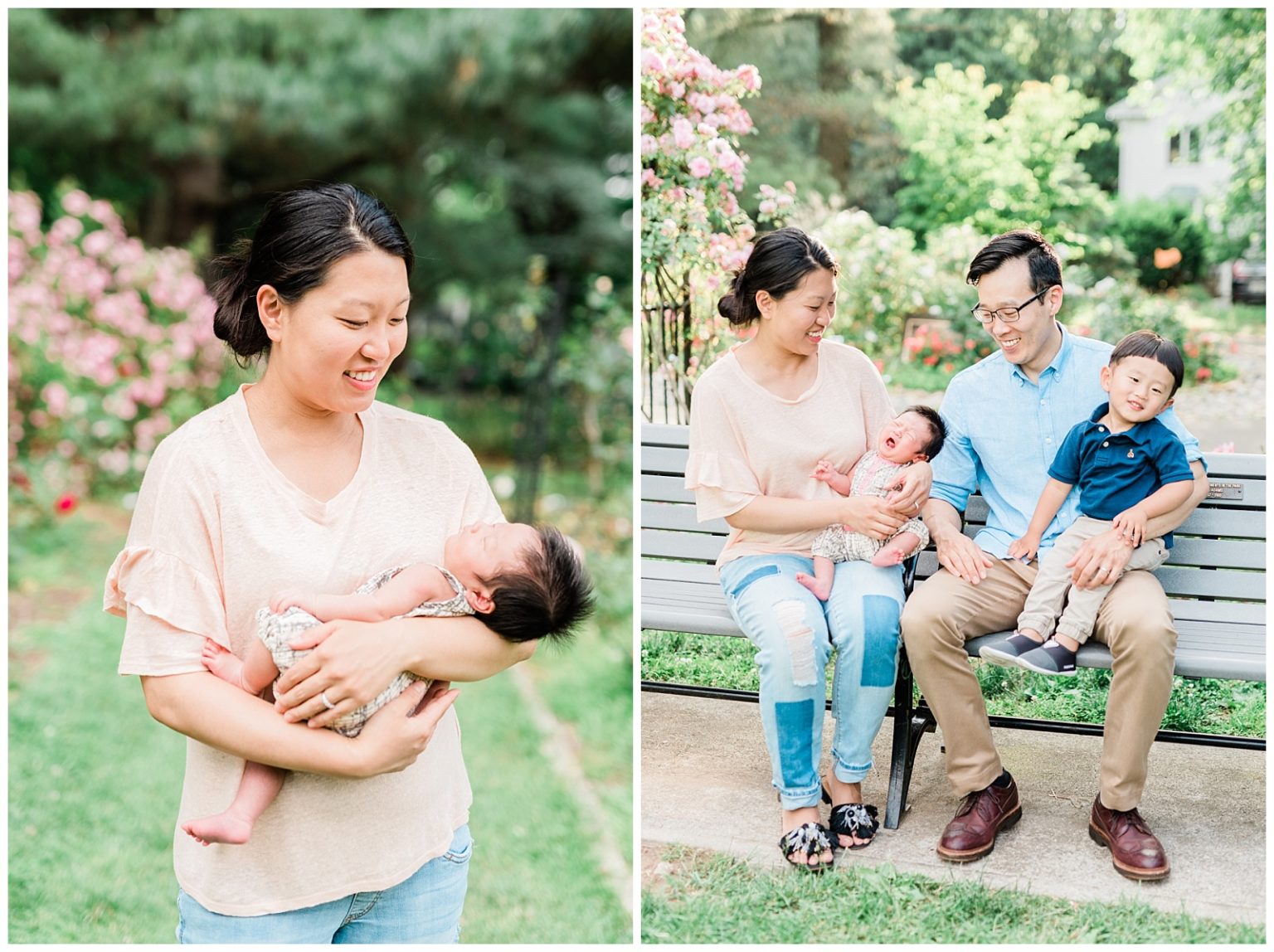 Rose Garden Mini Sessions Recap! - jenniferlarsenphoto.com