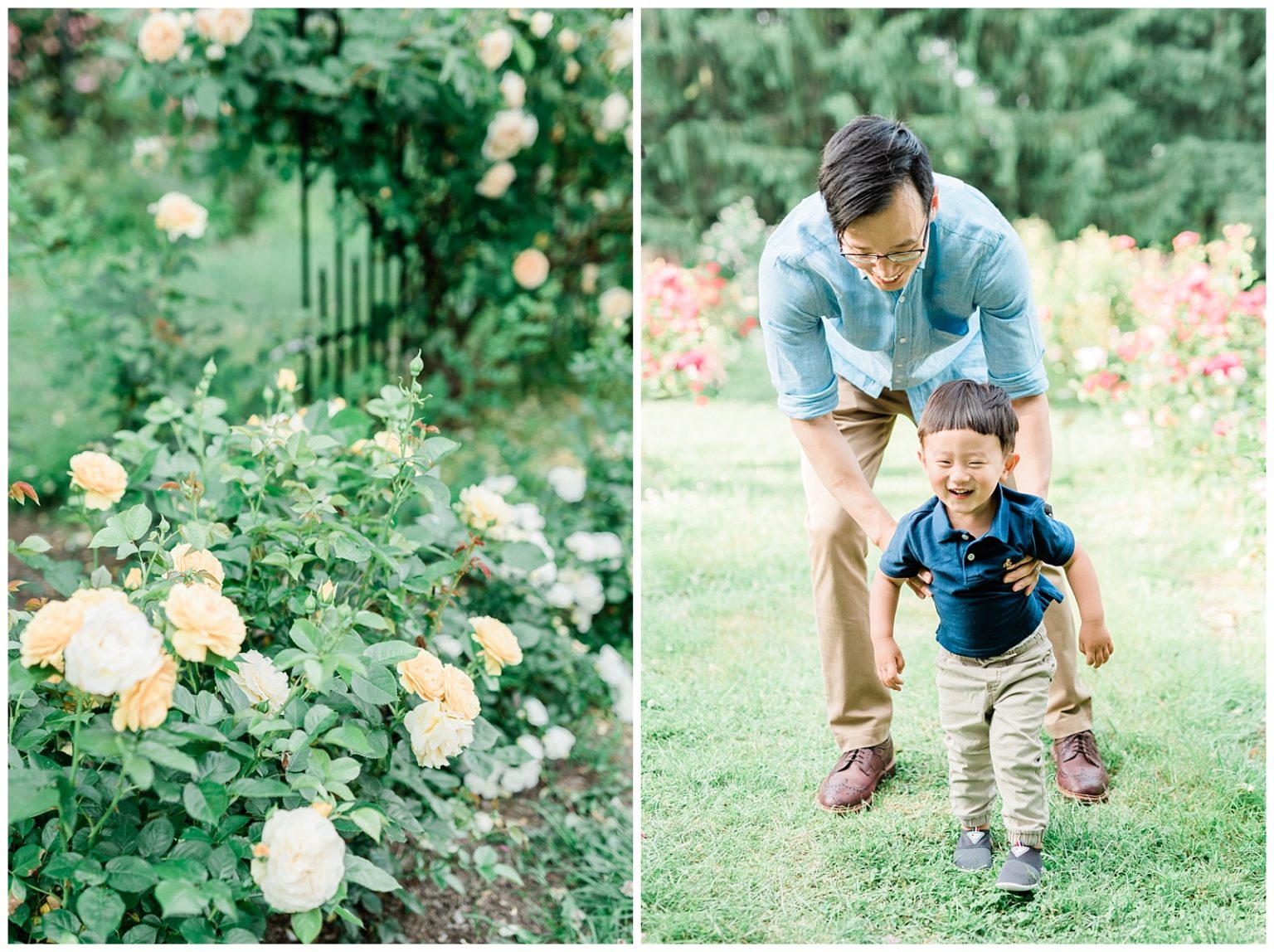 Rose Garden Mini Sessions Recap! - jenniferlarsenphoto.com