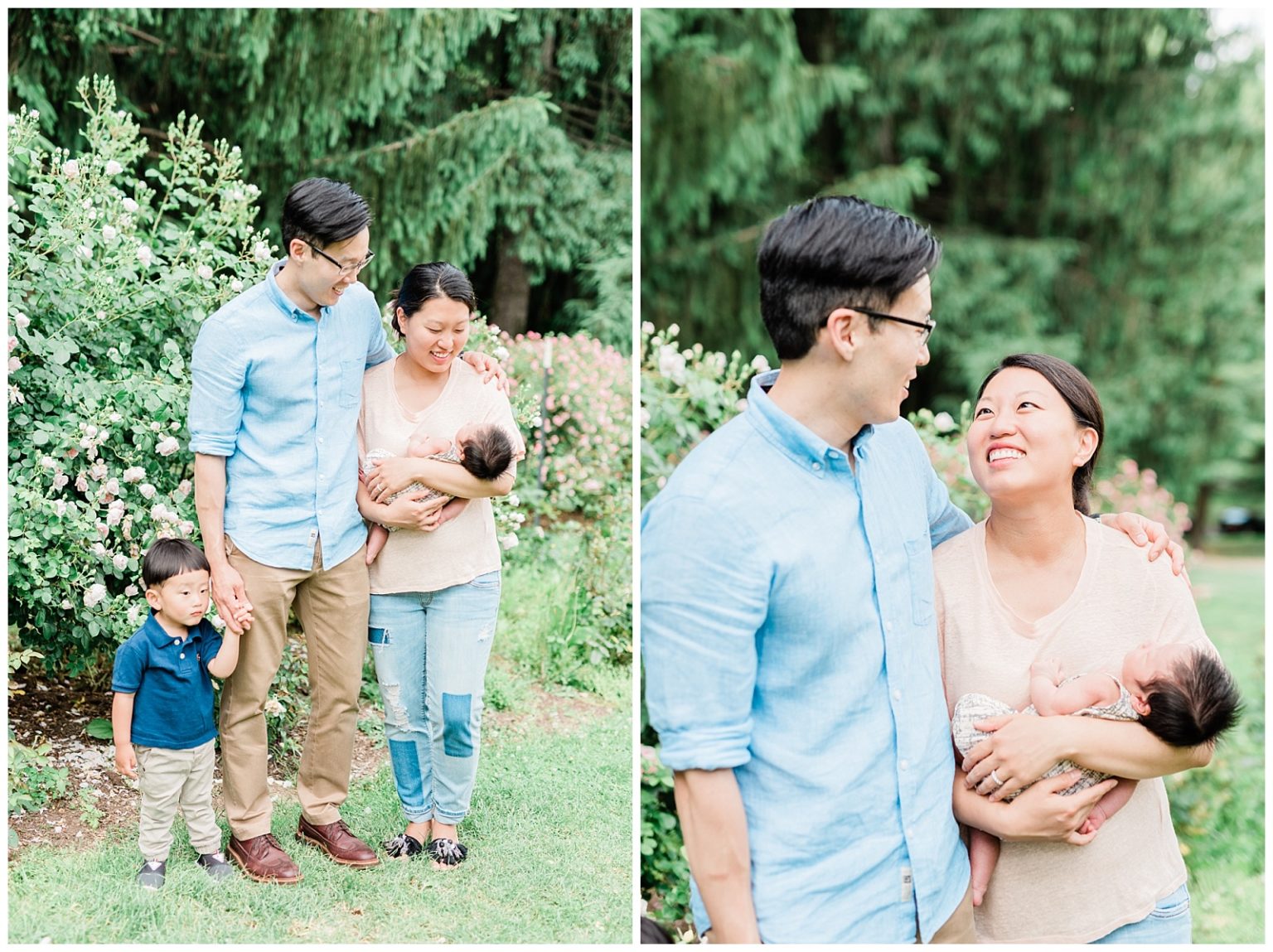 Rose Garden Mini Sessions Recap! - jenniferlarsenphoto.com