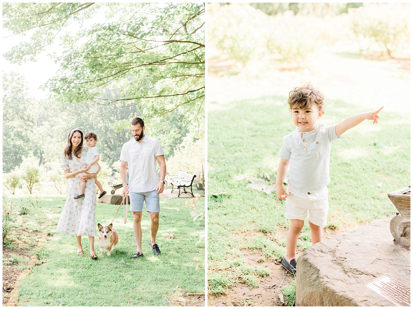 Rose Garden Mini Sessions Recap! - jenniferlarsenphoto.com