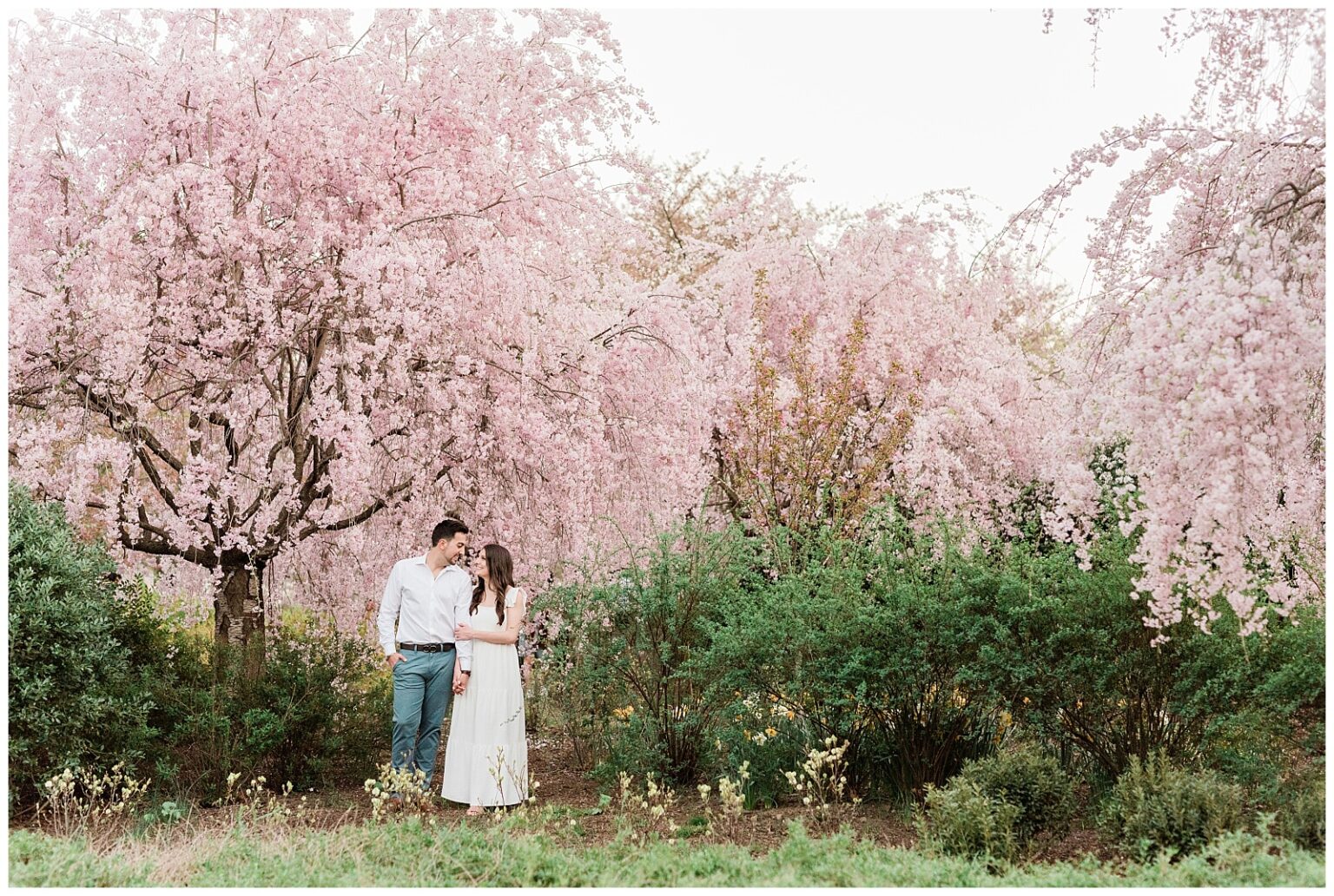Branch Brook Park Cherry Blossom Engagement | Jackie & Anthony ...